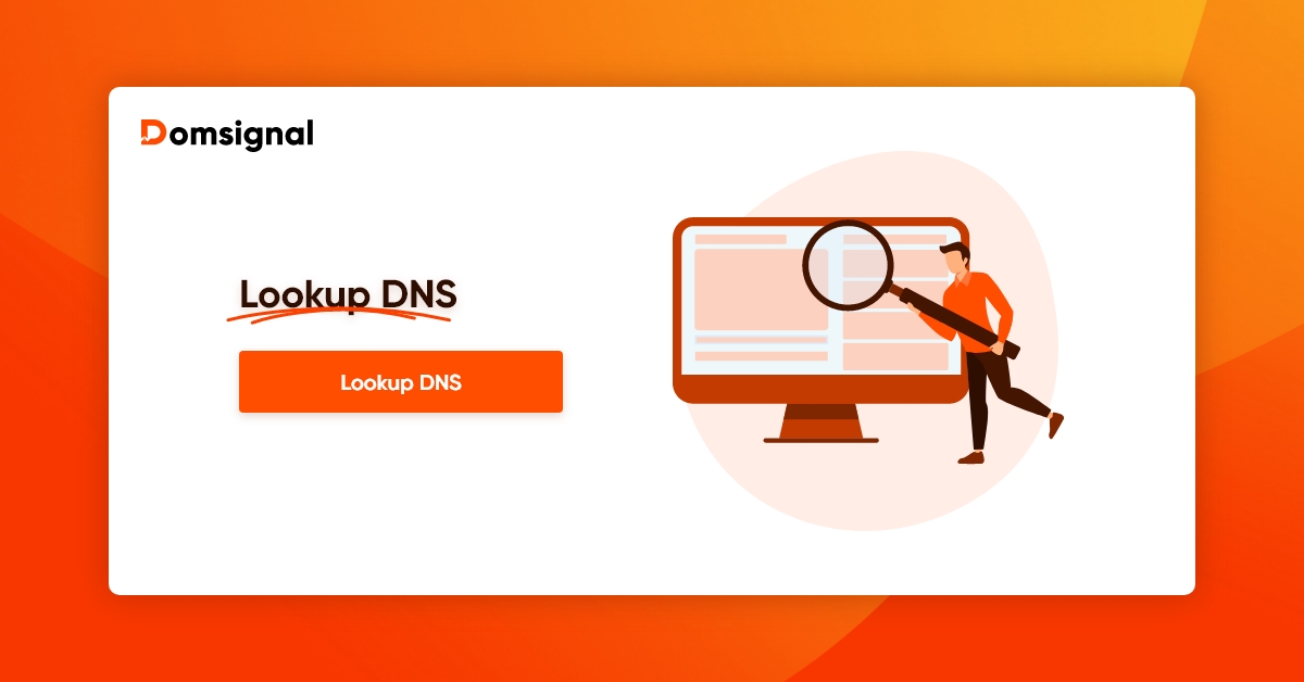 DNS Lookup | Ensure Your Website's DNS is Configured Correctly